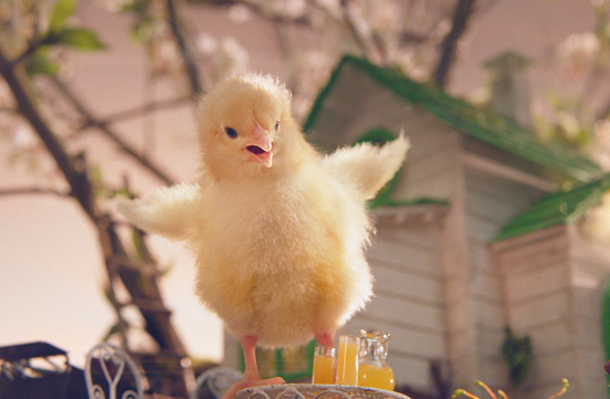 Baby Chick Funks Out in New Asda Spot | LBBOnline