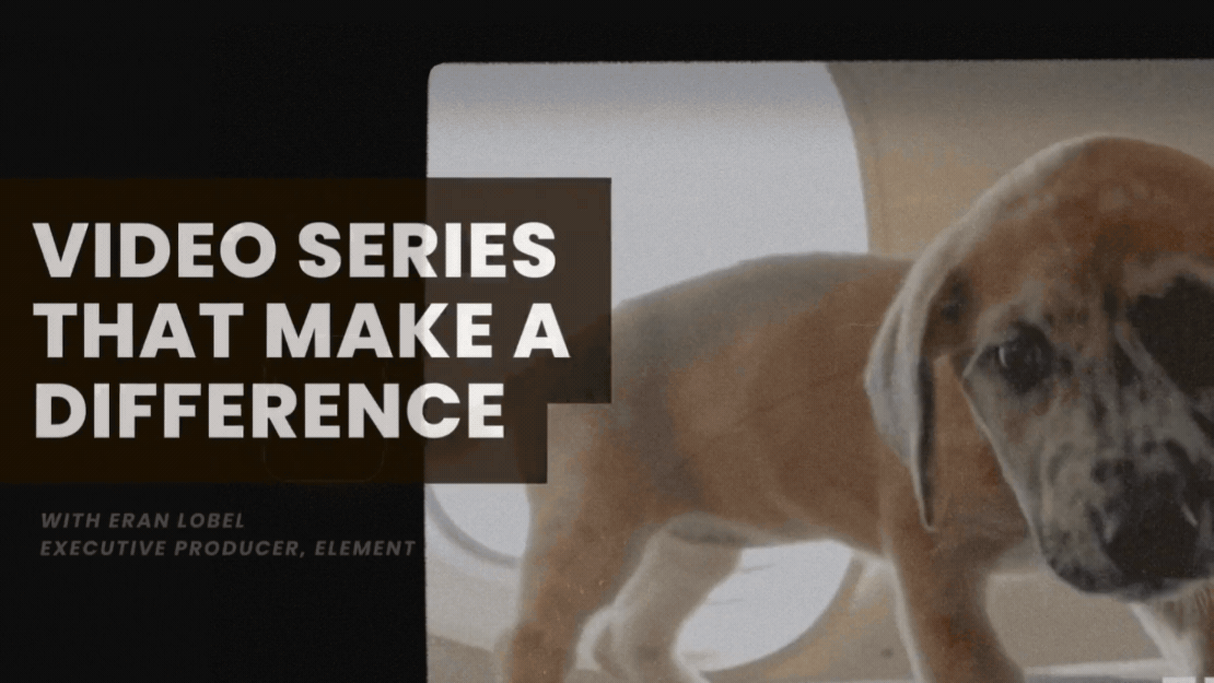 The ELEMENT Advantage: Video Series That Make a Difference | LBBOnline