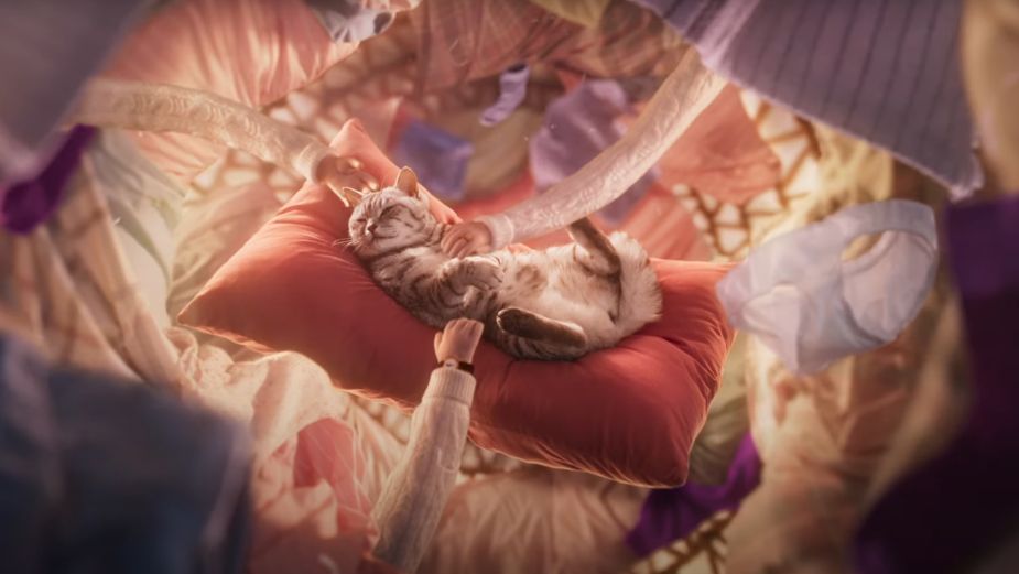 Cat Experiences a World of 'Purr' Feline Bliss in Whiskas Spot | LBBOnline