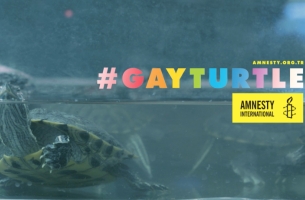 TBWA\Istanbul's Gay Turtle Highlights Homophobia & Prejudice in Turkey ...