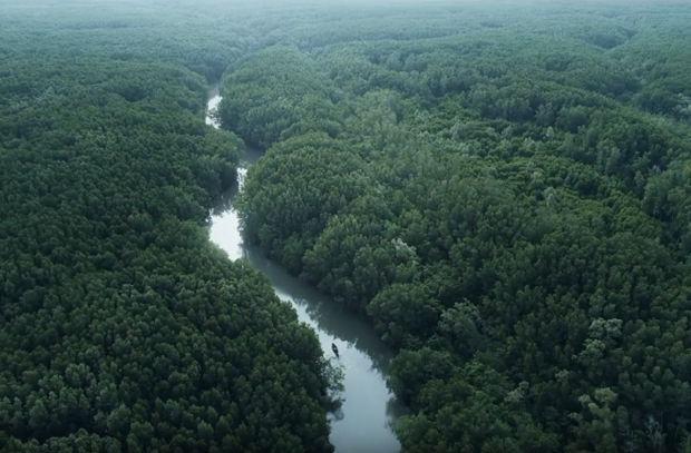 Location Spotlight: Bengali Jungle in Vietnam | LBBOnline