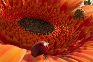 How Mill+ and Microsoft Created a Real-Time World for Xbox ‘Insects ...