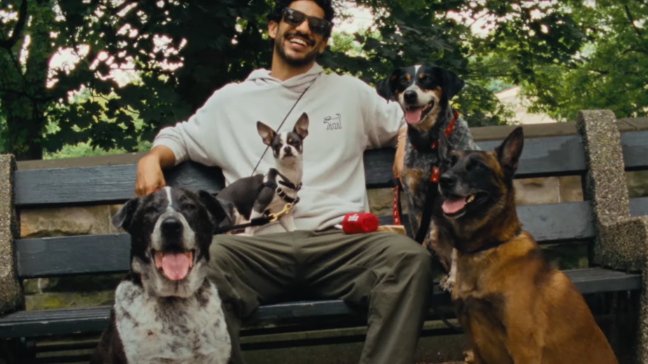 Less Catwalk and More Dog Walk in Campaign and Collab for Dogs and ...