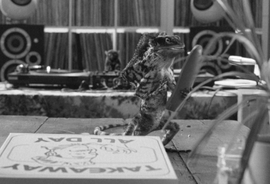 A Less Than Thrilled Lizard in JWT London's First Direct Spot | LBBOnline