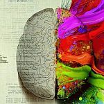 Mercedes Left Brain Right Brain | LBBOnline