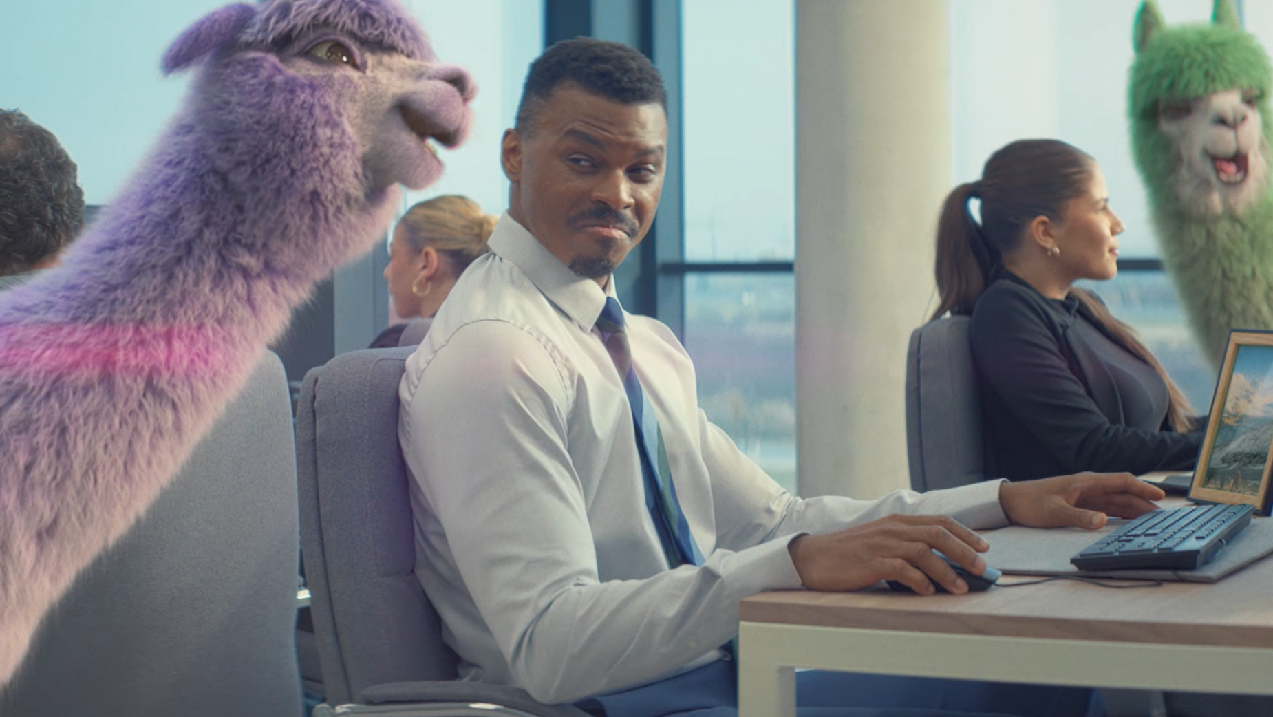 monday.com's Singing Llamas Help Customers Find Love at First Click ...