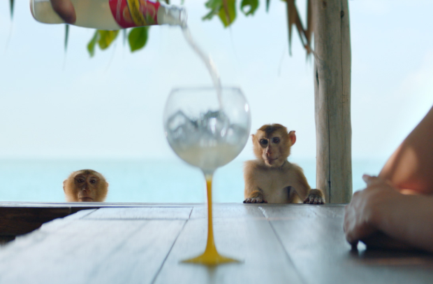 The Adorable Monkeys in This Schweppes Ad Aren't as Innocent as They ...