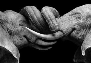 MPC Launches New Character and Creature Group 'MPC Life' | LBBOnline