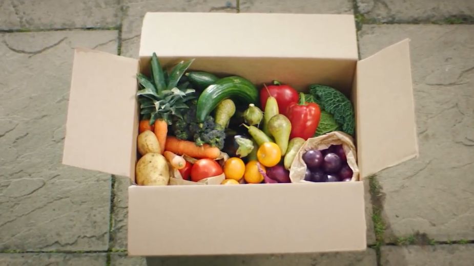 Do Good and Stay Odd: Why Oddbox Is Taking Its Mission to Fight Food ...