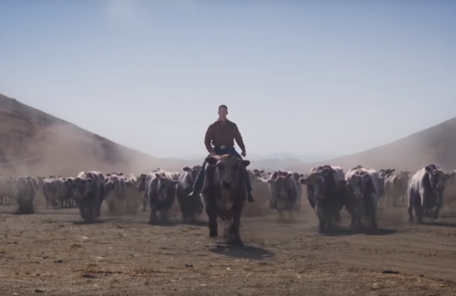 John Cena Leads a Stampede of Purple Cows in Experian Spot | LBBOnline