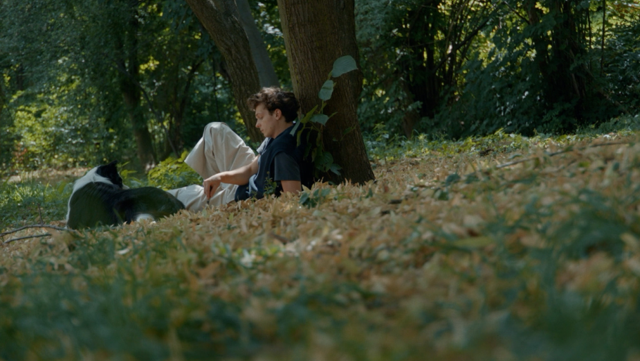 Otodom's Latest Campaign Explores the True Meaning of Well-being at ...