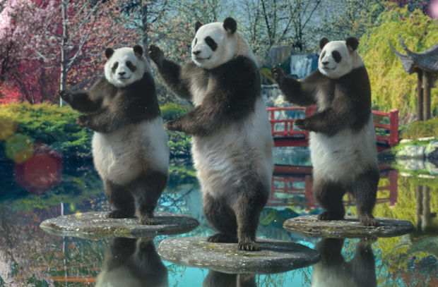 Sudocrem Celebrates Its 'Soothing' Heritage with Some Tai Chi Pandas ...