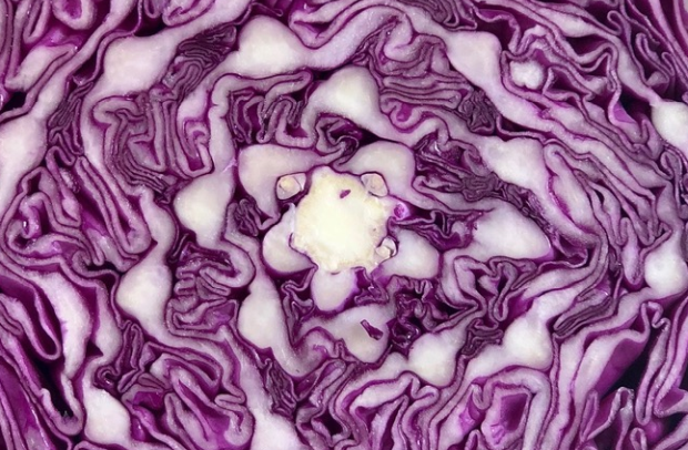 Feed: Ramaa Mosley’s Tale of Ashram Fermentation | LBBOnline