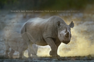 Born Free Foundation's Disappearing Animals Have a Hard Hitting Message ...