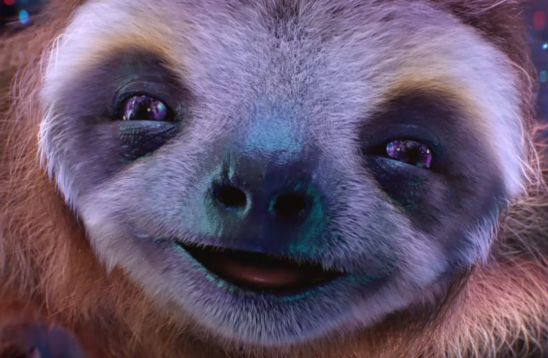 W+K and Three's Dolph-a-sloth is the Cutest Thing You'll See Today ...