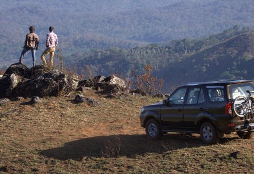 Beautiful Sunsets & Safaris in Joshua Tree's Scenic Tata Spot | LBBOnline