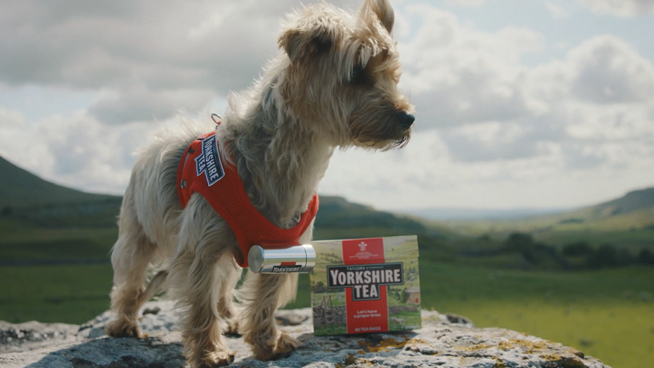 Yorkshire Tea Is to the Rescue with Its ‘Patron Saint of the Parched ...