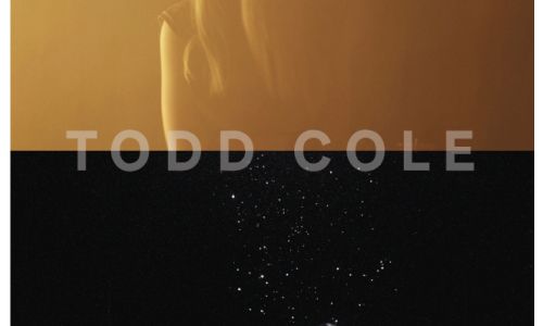 BOLD Signs Director Todd Cole To It's Roster | LBBOnline