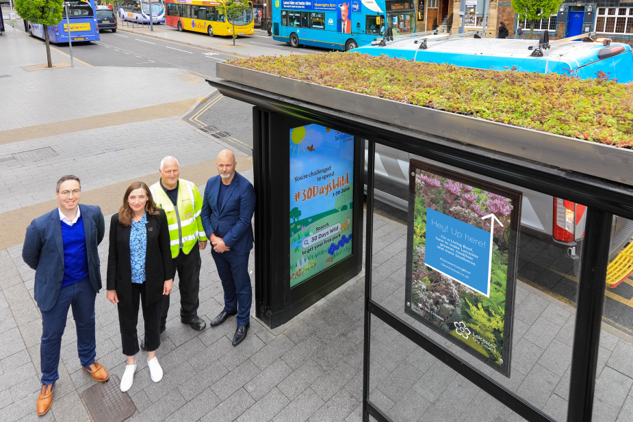 New Bee Bus Stops Will Bring a Buzz of Life to the Streets of the UK ...