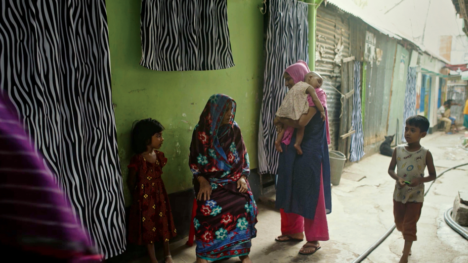 How These Zebra Pattern Curtains Are Stopping Mosquitoes from Spreading ...