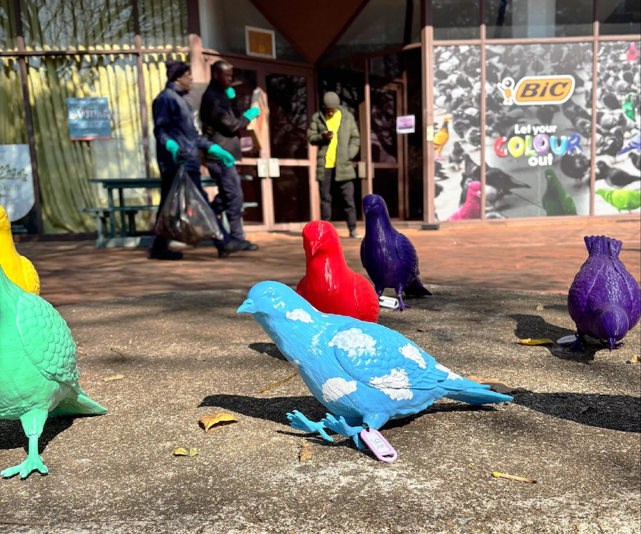 Colourful BICGeons Flock to Campus, Imagination Takes Flight | LBBOnline