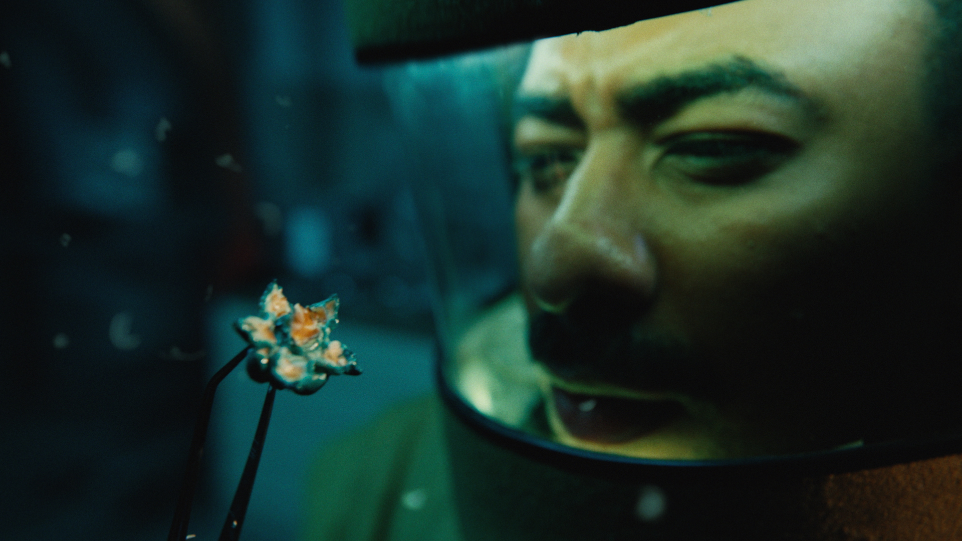 From Hawkins to Brazil: Yoki Unveils Stranger Things Mystery Popcorn | LBBOnline